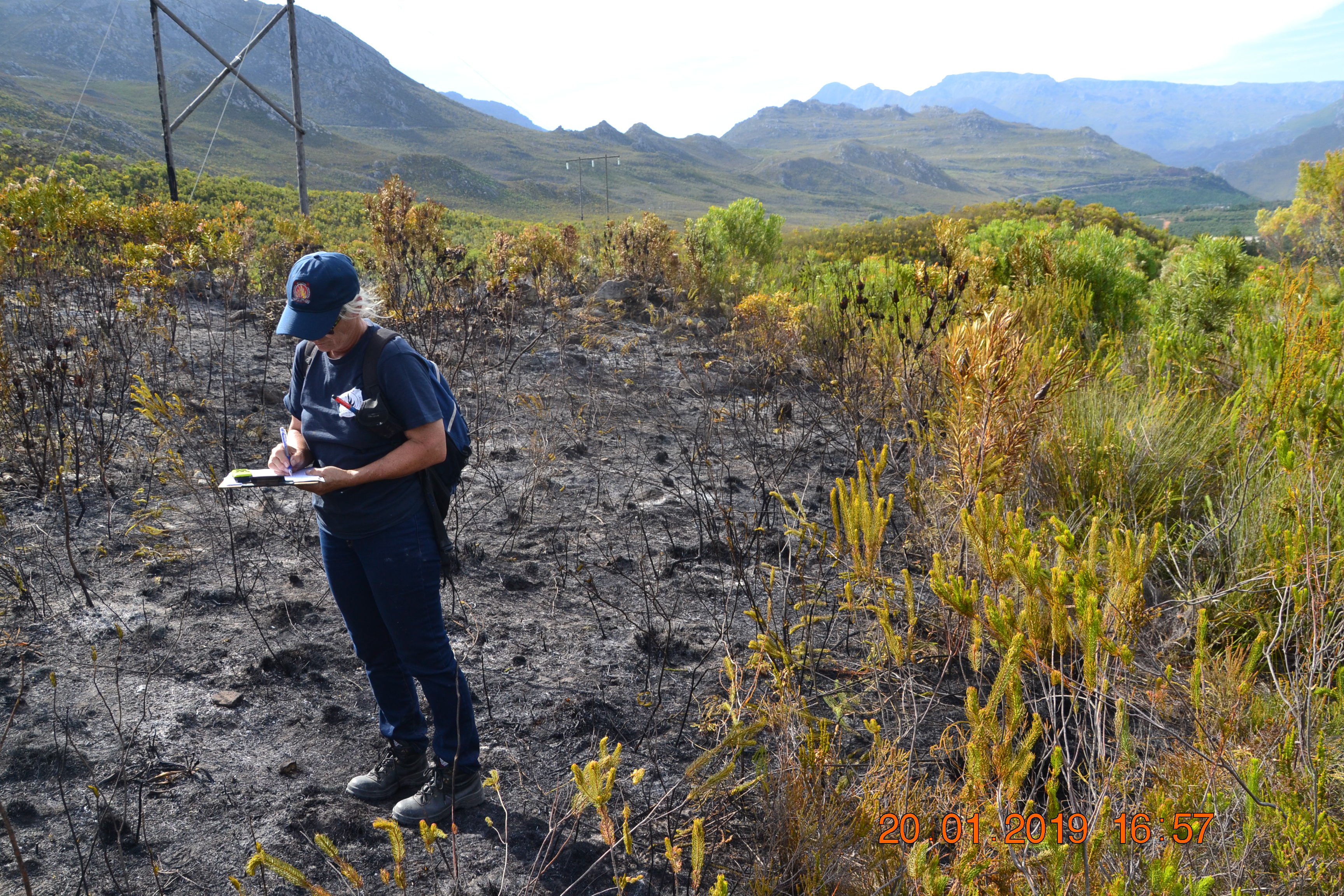 Integrated Wildfire Management